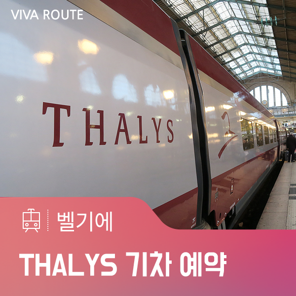 벨기에 여행 준비 Thalys 탈리스 기차 예약(2019.11) 하나 비바 카드로! : 네이버 블로그
