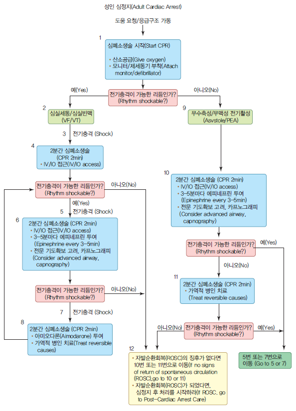 성인 전문 심폐소생술(Advanced Cardiovascular Life Support, ACLS) : 개요, VF ...