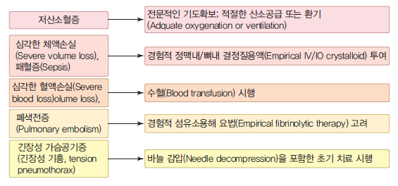 성인 전문 심폐소생술(Advanced Cardiovascular Life Support, ACLS) : 개요, VF ...