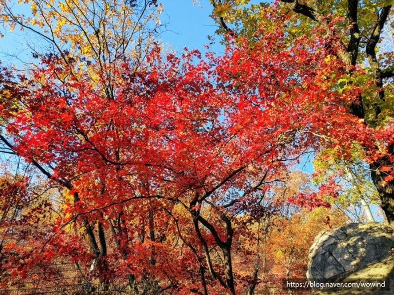 새벽산행, 북한산 일출산행 : 네이버 블로그
