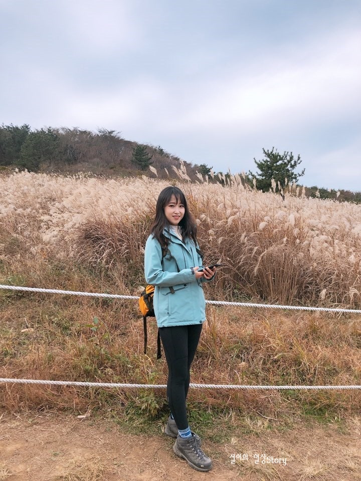 부산 가볼만한곳 해운대 장산 억새밭 다녀왔어요 등산코스 대천공원 옥녀봉 장산 억새밭 대천공원