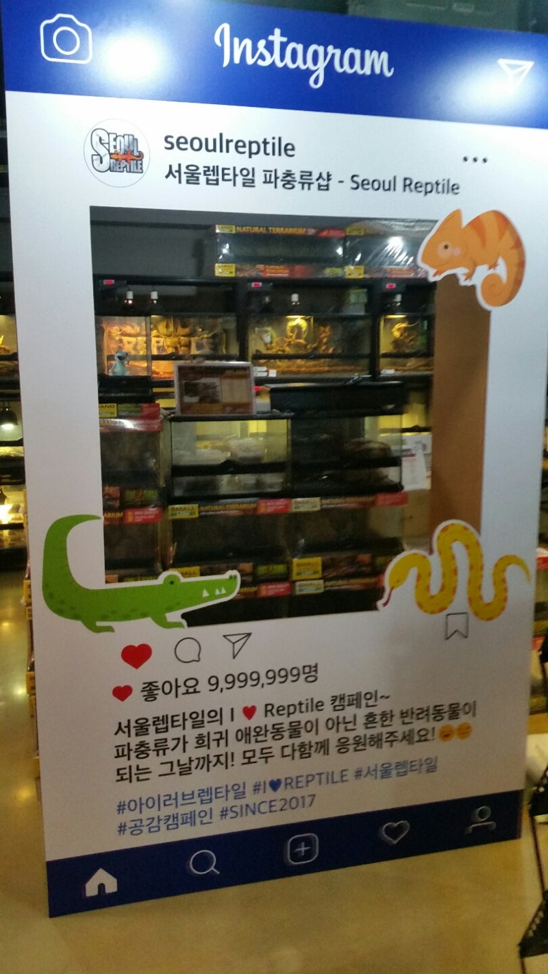 퍼스트페이퍼 180 대형인스타그램 포토존 제작 모음 ㅡ 기업2 및 재단 네이버 블로그
