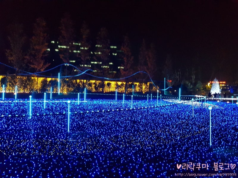 이천 덕평휴게소 별빛정원 우주 야간개장 예뻐요 네이버 블로그