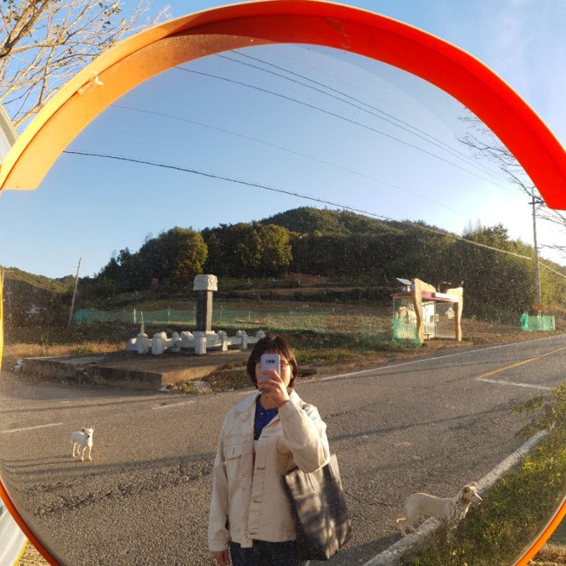 내가 보려고 쓰는 함평500번 버스운행시간표 : 네이버 블로그