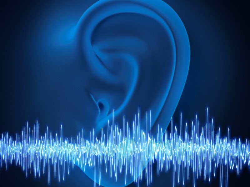 오디오 스피커 테스트 - audio speakers test blind : 네이버 블로그