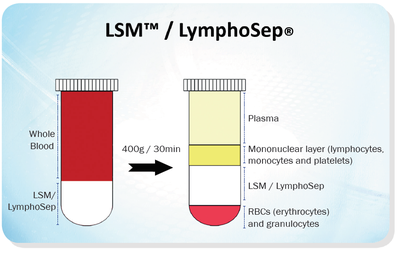 [프로모션] Lymphocyte Separation Medium (LSM) : 네이버 블로그