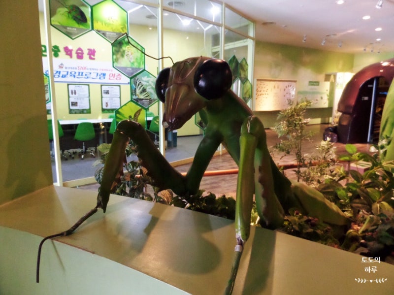 울산대공원 생태여행관 나비원 곤충생태관 파충류전시장 온실식물원 다녀왔어요 네이버 블로그