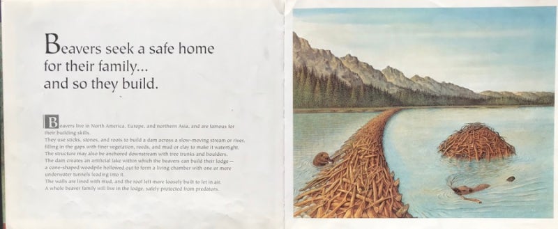 [초등영어도서/추천영어도서] 미래의 건축가를 위한 영어도서, And so they build : 네이버 블로그