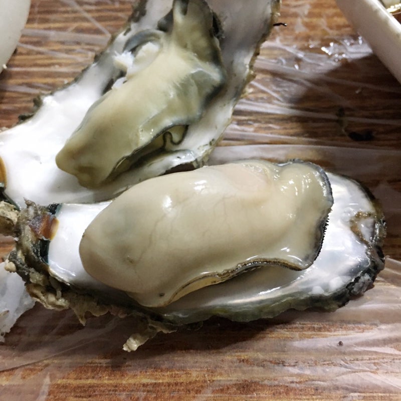 광주 굴찜 무한리필 1인 12000원 금호동 ‘호남수산 네이버 블로그