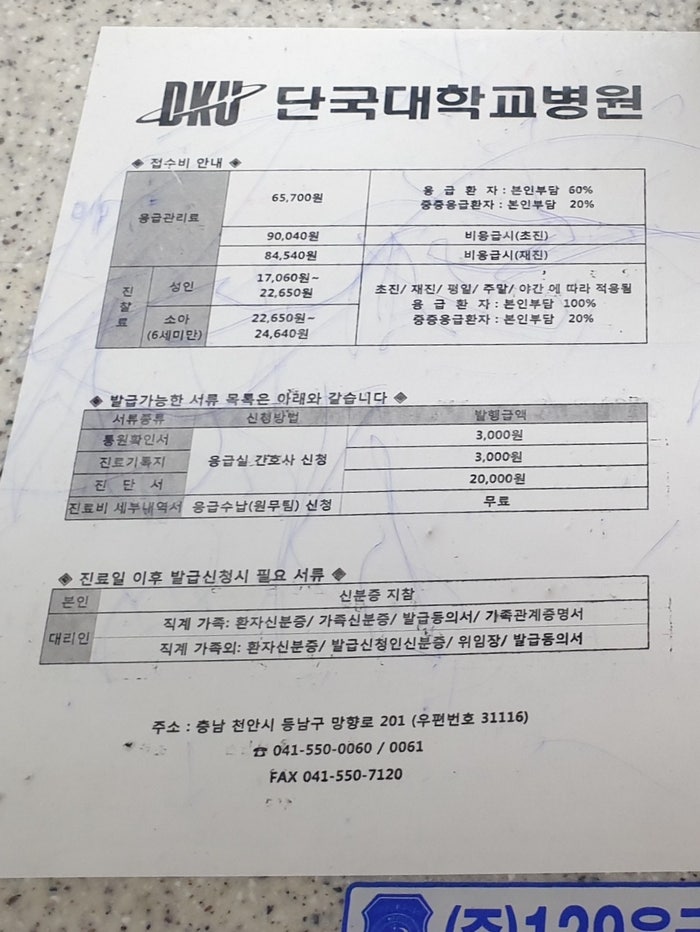 맹장염 초기증상 및 맹장수술 회복기간 비용 까지 네이버 블로그