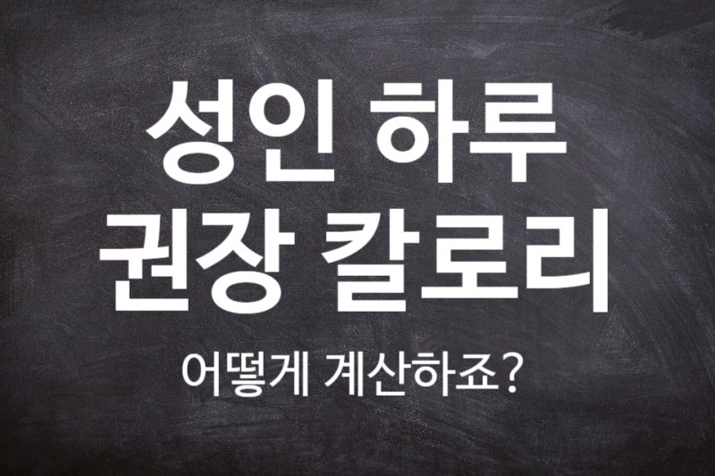 성인 하루 권장 칼로리 어떻게 계산 할까 네이버 블로그
