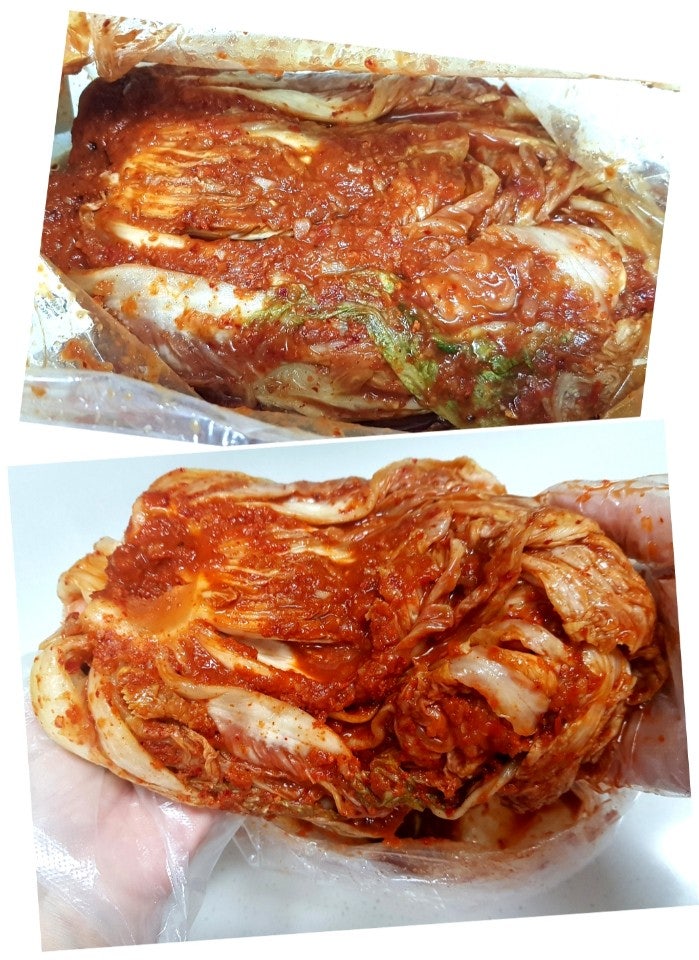 맛있는 전라도김치 추천 한식대첩 우승자 이미자 명인의 새벽김치 포기김치와 갓김치 1kg 먹어봤어요 네이버 블로그