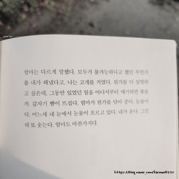 독서일기 35 손원평 소설 소설책 아몬드 줄거리 및 독후감 네이버 블로그