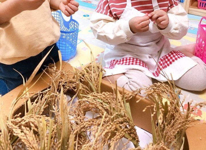 호반아이사랑♡ 만1세만2세혼합연령활동 만2세꼬마농부쌀오감놀이연계확장활동 대근육악어처럼엉금엉금활동 대근육음률악어떼 안전교육