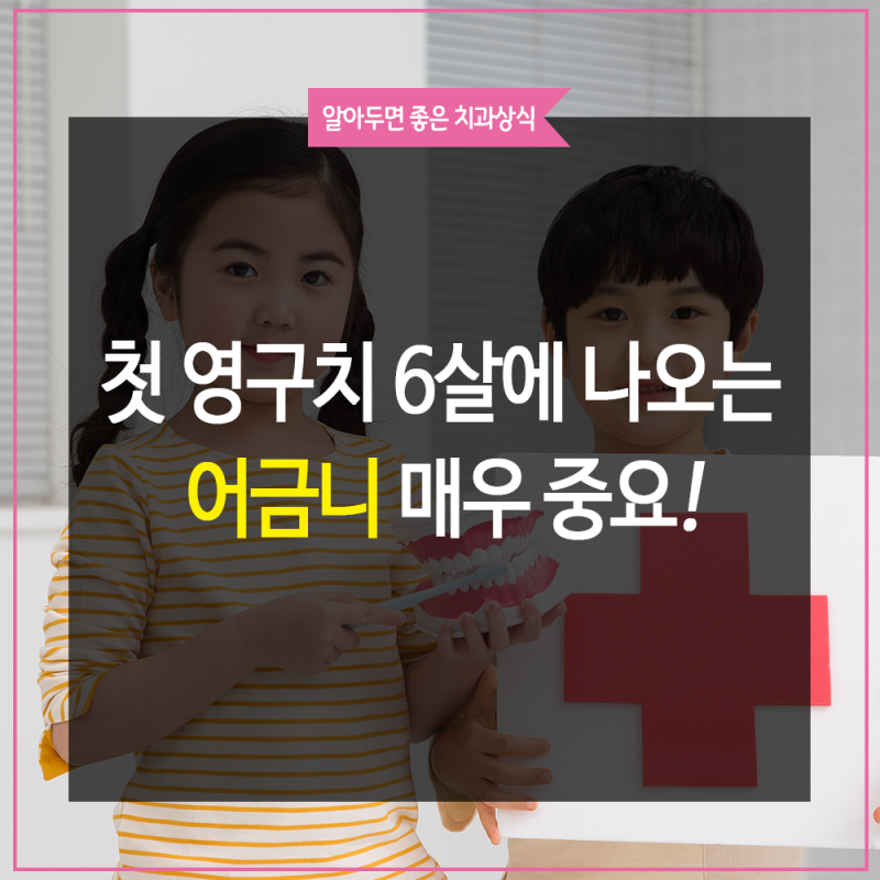 어금니 영구치 처음나오는 6살 치아관리중요해요 네이버 블로그
