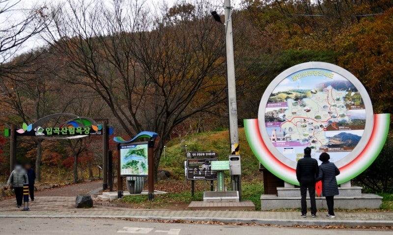 경남 함안 입곡군립공원 단풍놀이 2019년 11월 네이버 블로그