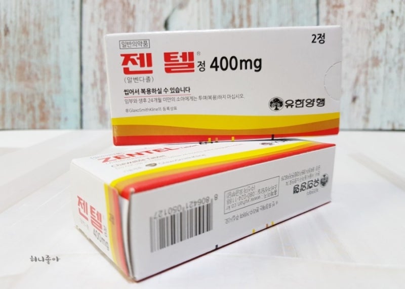 구충제알벤다졸 복용법 및 복용시기 부작용까지 알아봐요 네이버 블로그