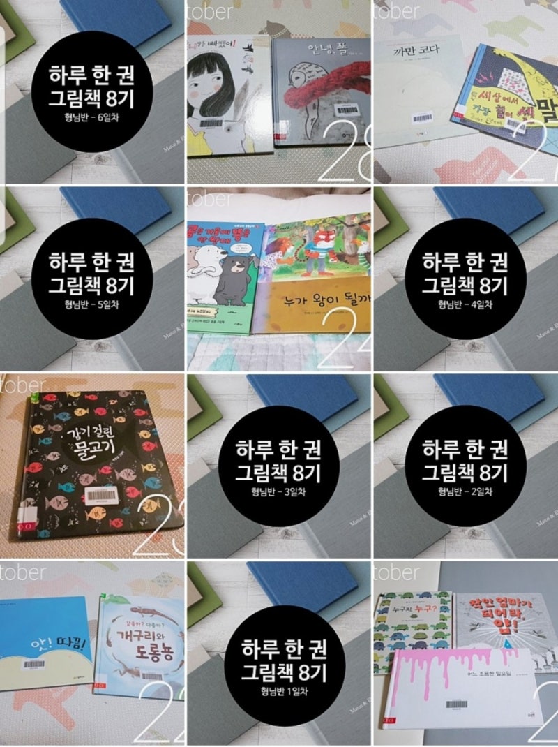 하루 한 권 그림책 8기를 마치며 나의 추천 그림책은 네이버 블로그