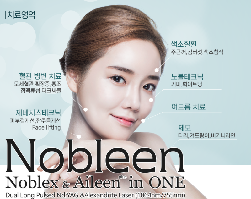 Nobleen : 네이버 블로그