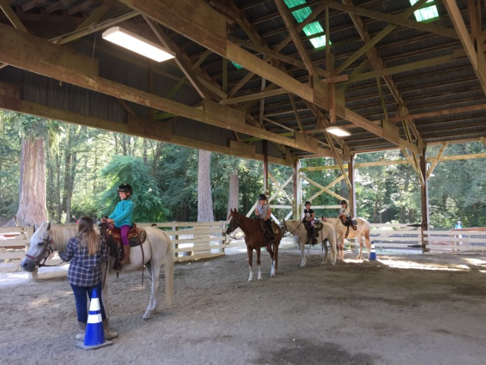 Camp GrapeSEED 이야기 / 미국 Seattle, Miracle Ranch / 프랜들리 칠곡 석적영어학원 ...
