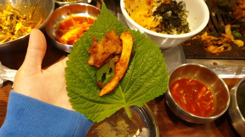 논산 내동 새마을식당 열탄불고기 매운맛 맛있게 먹는 꿀팁백종원 맛집 네이버 블로그