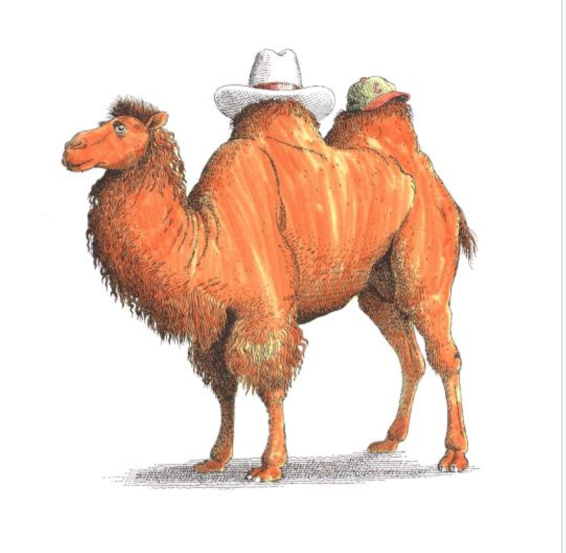 Animals Should Definitely Not Wear Clothing Written By Judi Barrett ...