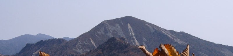 비영리법인의 기본재산 출연기준 보통재산설립허가 전문행정사 네이버 블로그