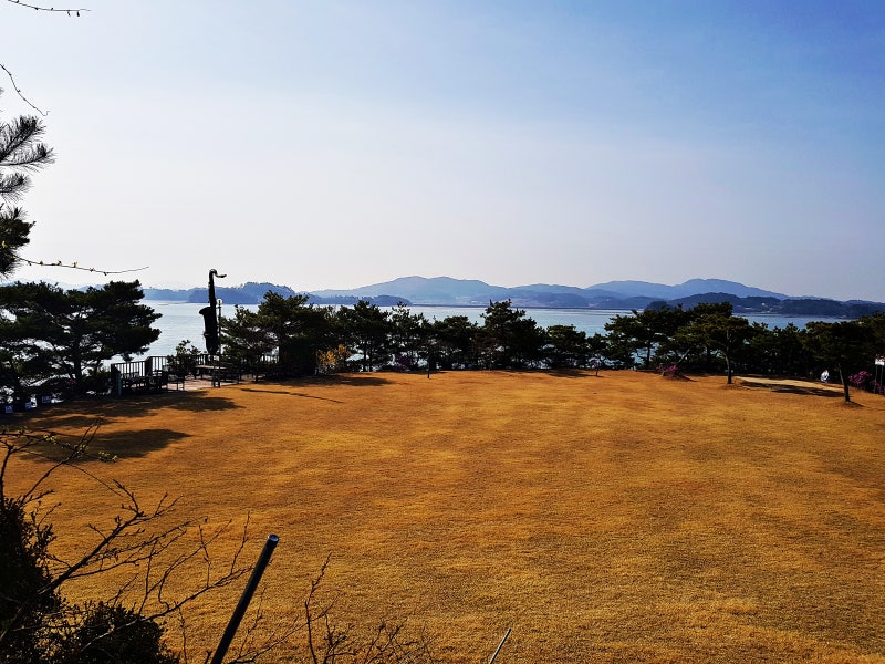 묘지이장and산소이장 비용절차 함께 알아보세요 네이버 블로그