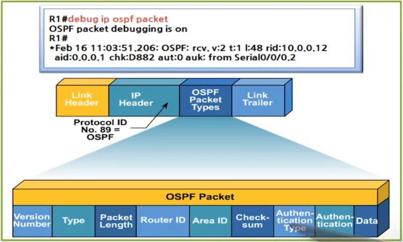 OSPF Packet & Neighbor state : 네이버 블로그