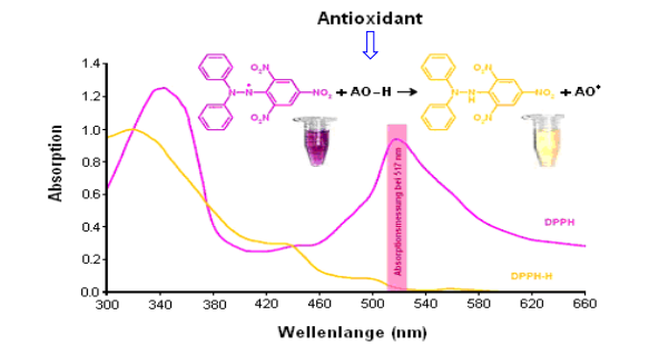 CELL- DPPH assay( 항산화 측정 방법) : 네이버 블로그