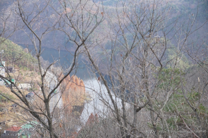대전 장태산 자연휴양림 산책로 형제산 등산코스 등산지도 둘레길 네이버 블로그