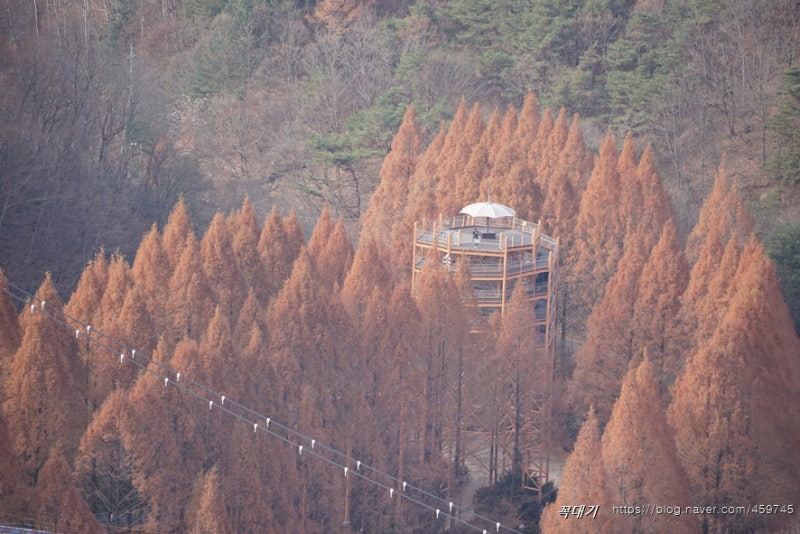 대전 장태산 자연휴양림 산책로 형제산 등산코스 등산지도 둘레길 네이버 블로그