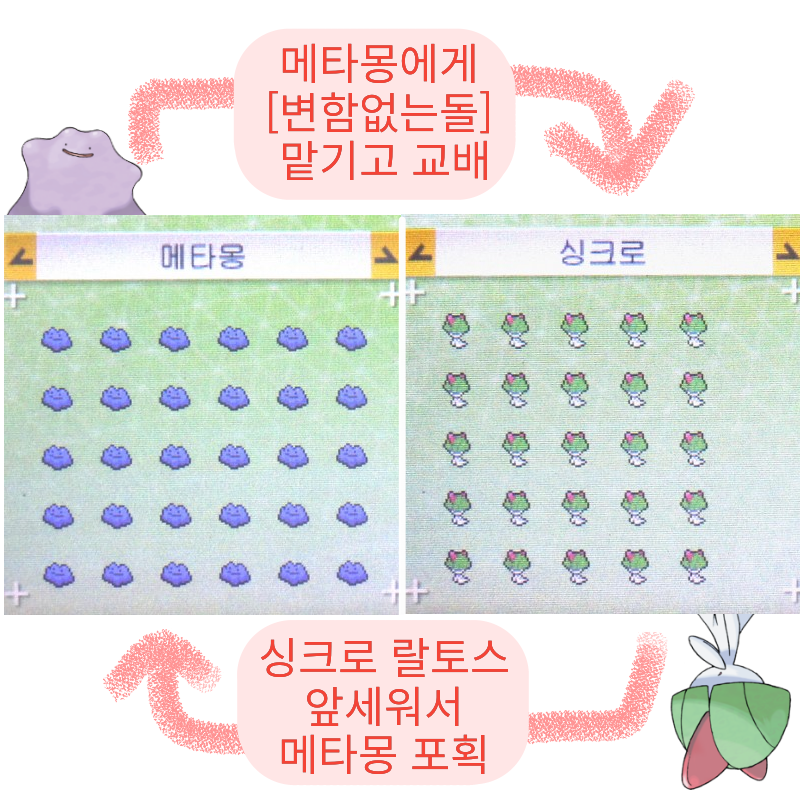 포켓몬스터 소드 실드 성격표 포켓몬 성격 바꾸기 싱크로 공략 네이버 블로그