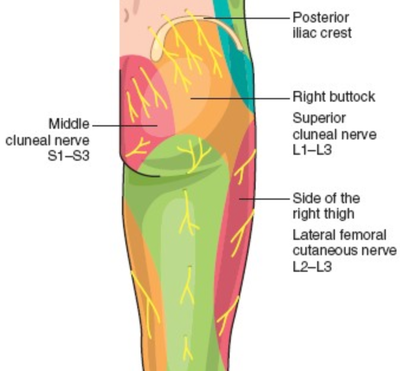 TLJS (TL junction syndrome) : 네이버 블로그