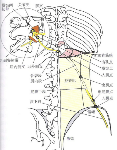 TLJS (TL junction syndrome) : 네이버 블로그