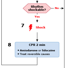 VF/pVT cardiac arrest 동안 항부정맥 약물: Amiodarone 또는 lidocaine : 네이버 블로그