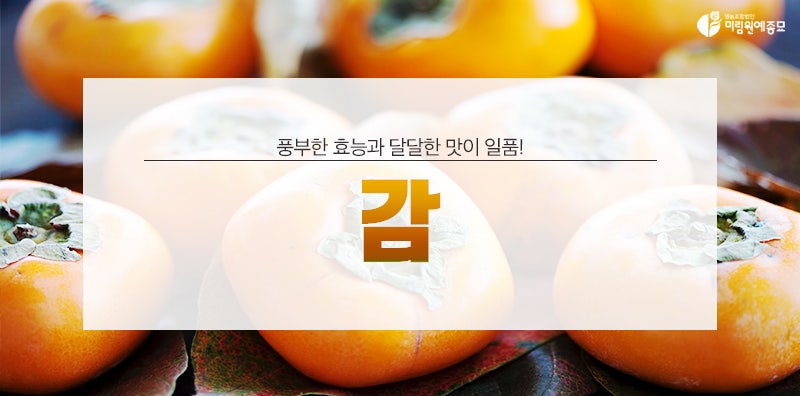 칼로리 낮은 과일 감 효능 및 종류 네이버 블로그