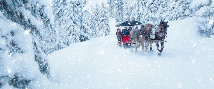 Sleigh Ride ( 썰매 타기 ) - Runaway June ( 런어웨이 준 / 여성 컨트리 뮤직 그룹 ) : 네이버 블로그