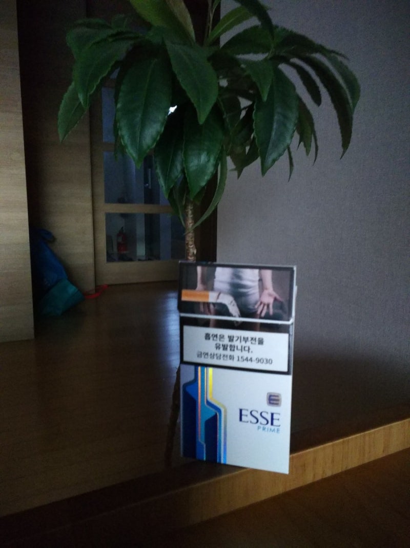 국산담배 (kt&g) 에쎄 프라임 esse prime : 네이버 블로그