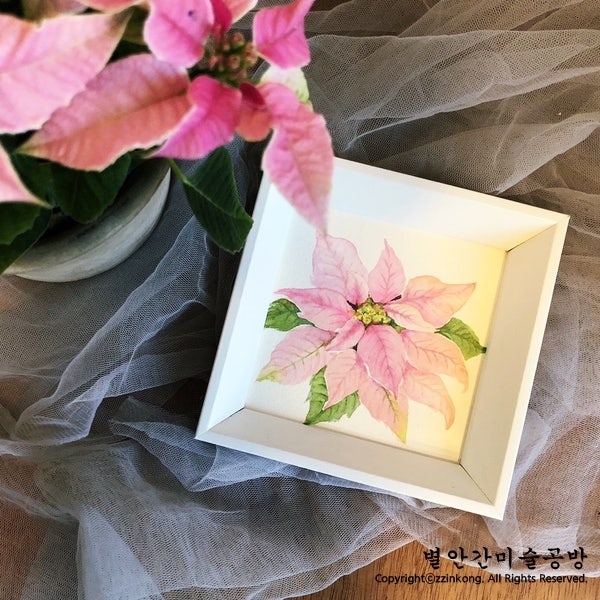 마감 12월 원데이클래스크리스마스식물 포인세티아그리기 김포취미미술별안간미술공방김포수채화김포화실꽃수채화 네이버 블로그