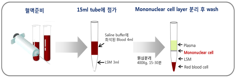 [BEST] 혈액에서 Lymphocyte 분리- LSM (Histopaque 대체품) : 네이버 블로그