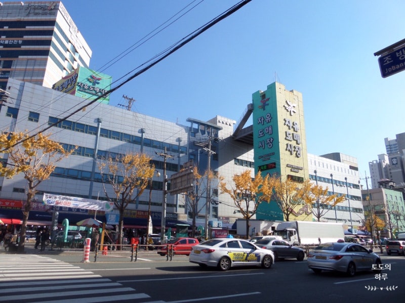 부산 크리스마스트리장식 자유시장 꽃시장 탐방기 : 인테리어소품 프리저브드 드라이플라워 자유도매시장 - 토도의하루 : 네이버 블로그