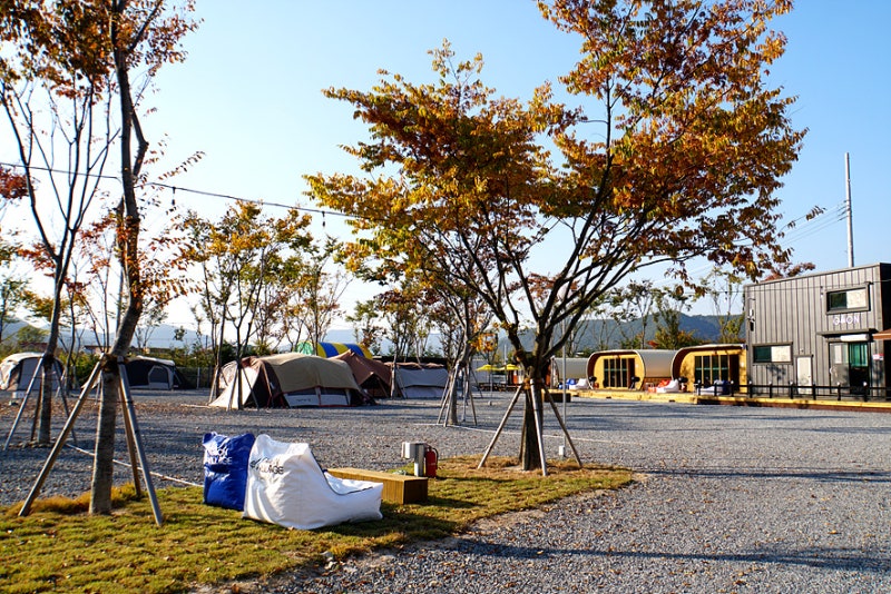 반려견 동반캠핑애견운동장 카페 글램핑장 까지 갖춘 낭만레저 밀양캠핑장 가온빌리지 네이버 블로그