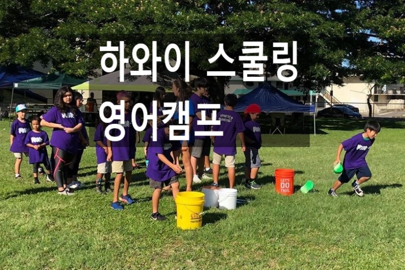 하와이스쿨링영어캠프 겨울방학 유치원초등생캠프 네이버 블로그