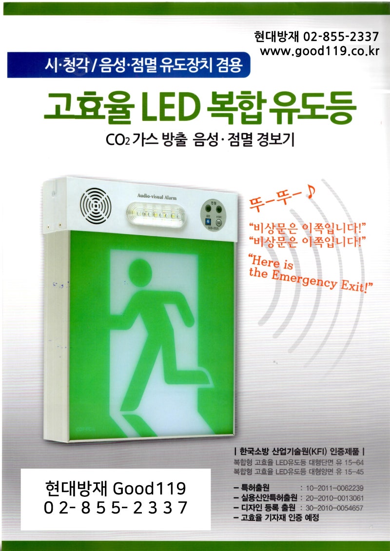 음성점멸유도등 시·청각 음성·점멸 유도장치 겸용 대형 피난구유도등 네이버 블로그