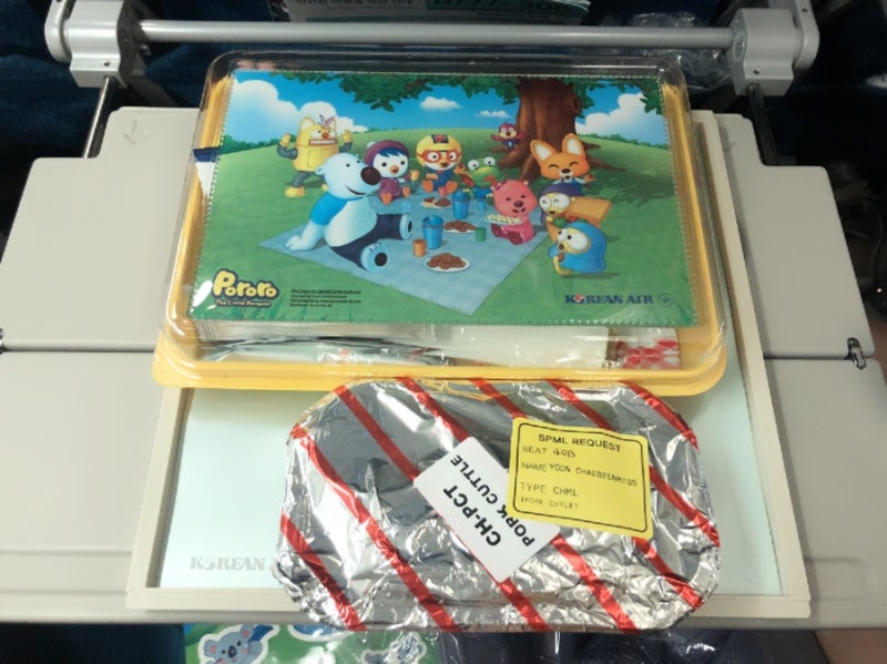 말레이시아여행 인천-쿠알라룸푸르 대한항공 KE671/KE672 후기 (+ 아이둘과) : 네이버 블로그