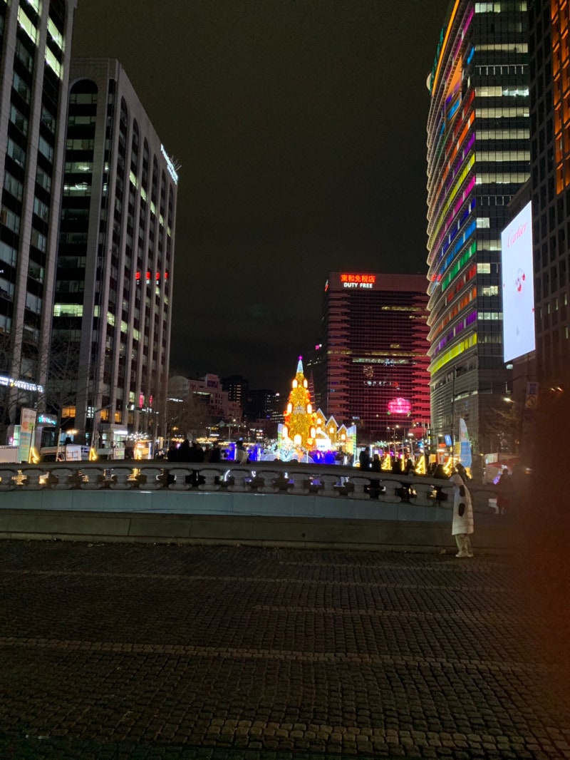 명동을지로입구 연말 회식장소 광화문 라그릴리아 메뉴가격후기 네이버 블로그