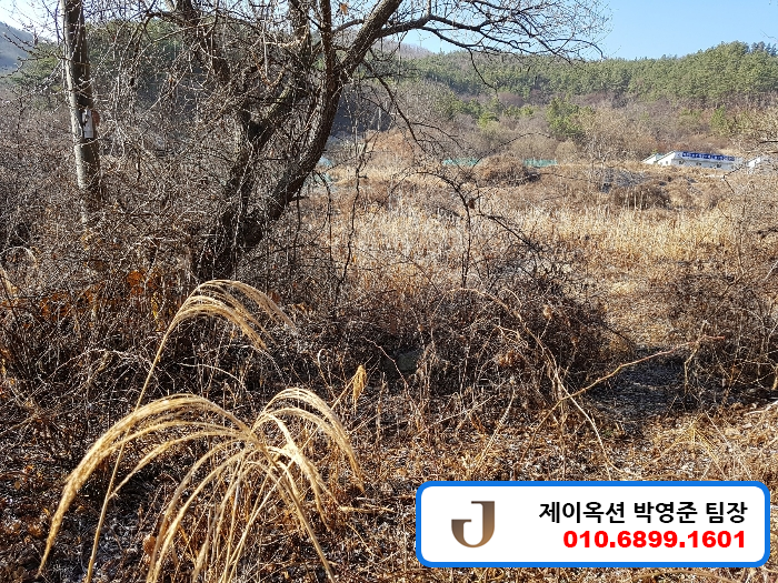 공주토지경매 충남 사곡면 경매 2019타경 20179 네이버 블로그