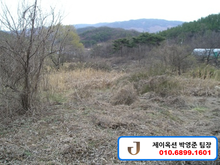 공주토지경매 충남 사곡면 경매 2019타경 20179 네이버 블로그