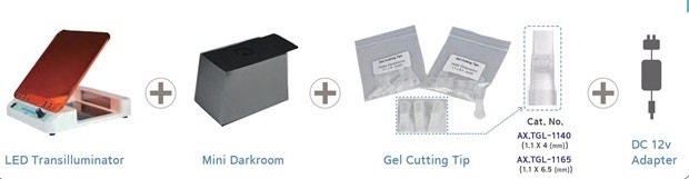 [엔바이오랩]-LED Blue Light Transilluminator / UV Light의 위험으로부터 안전하게 DNA ...